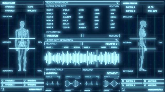 Human whole body UI - Free Video Material Site｜videoAC
